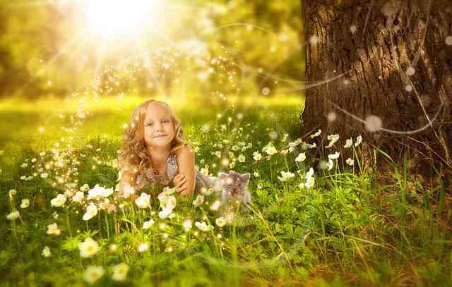 11 Main Reasons Why Kitten Follows You Everywhere & Tips - Pet Norms