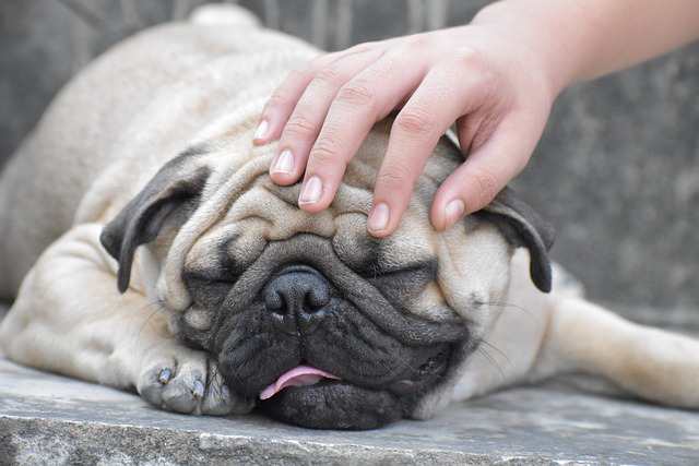 Anxiety Confusion Disorientation: 10 Causes, Signs, Effects & Coping ...